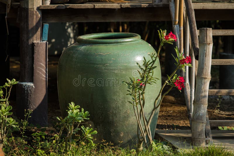 Big water jar stock photo. Image of outstanding, flower - 69388734