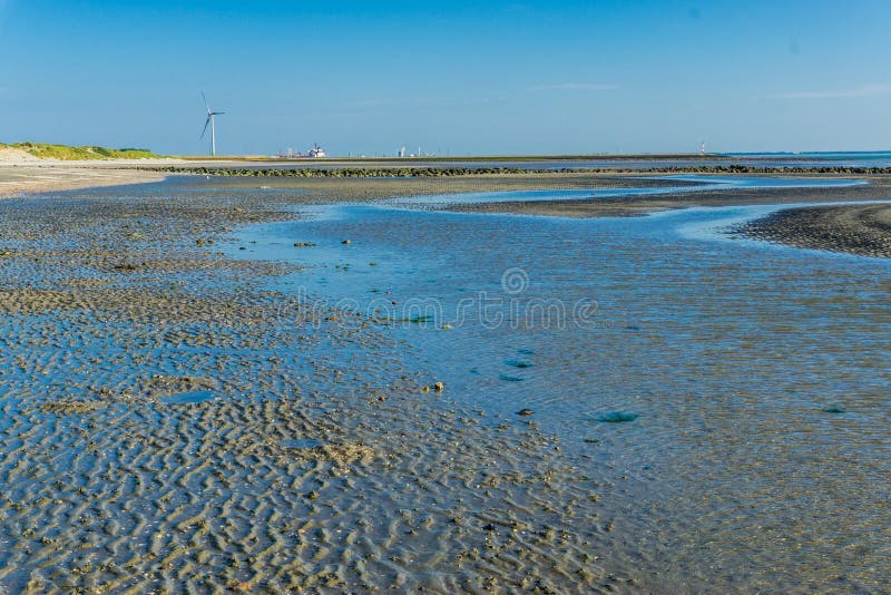 548 Sandy Beach Puddle Stock Photos - Free & Royalty-Free Stock Photos ...