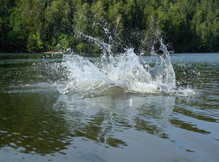Big water splash in lake stock photo. Image of plunge - 13291458