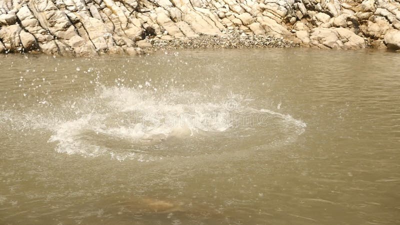 Dropping of a Stone in To Small Pond Stock Footage - Video of outdoor ...
