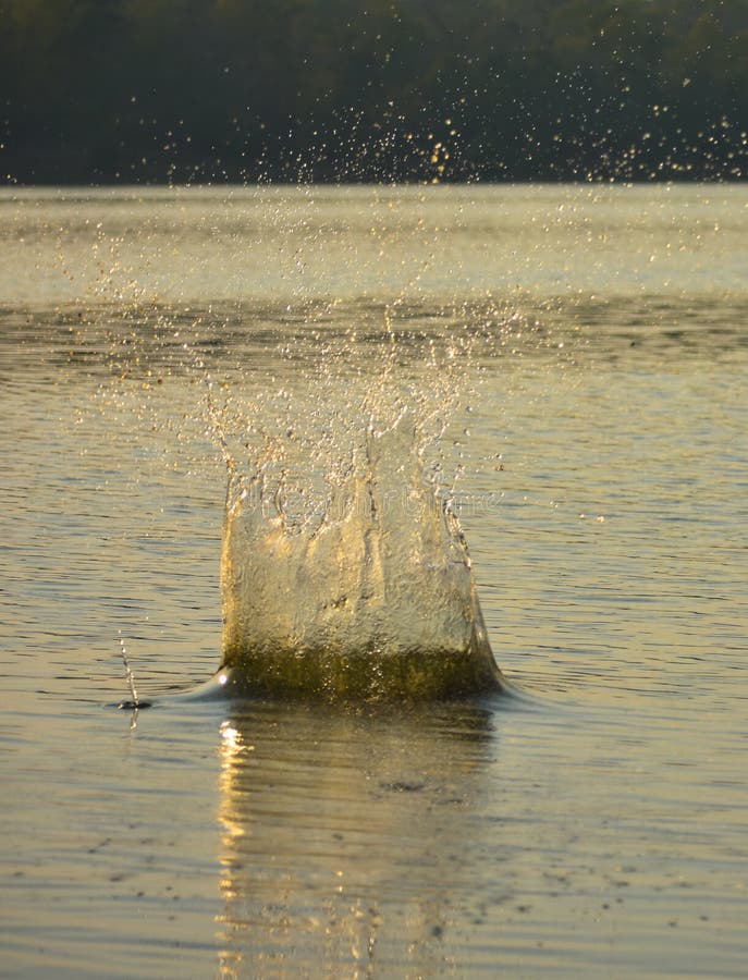 Big Water Splatter after Throwing a Small Rock into a Pond Stock Image ...