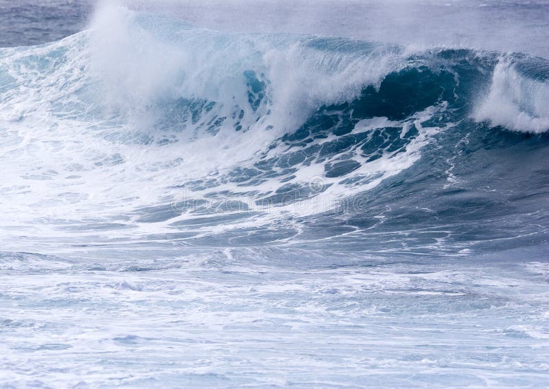 Big Wave stock photo. Image of global, waves, foam, fish - 15133274