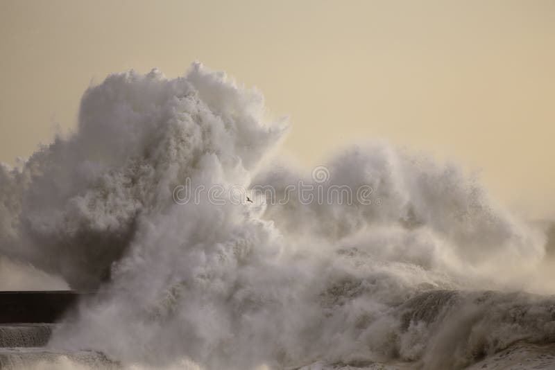Big wave splash at sunset stock photo. Image of natural - 183505968