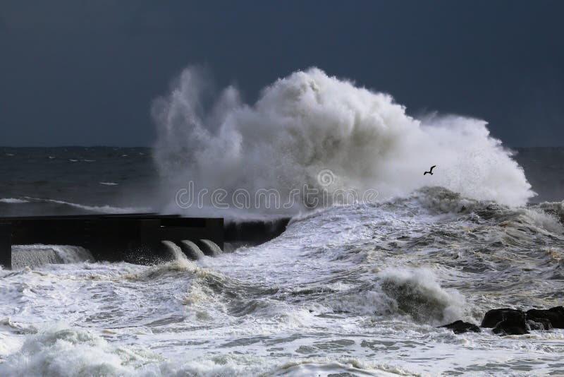 Big wave during a storm stock image. Image of travel - 213896071