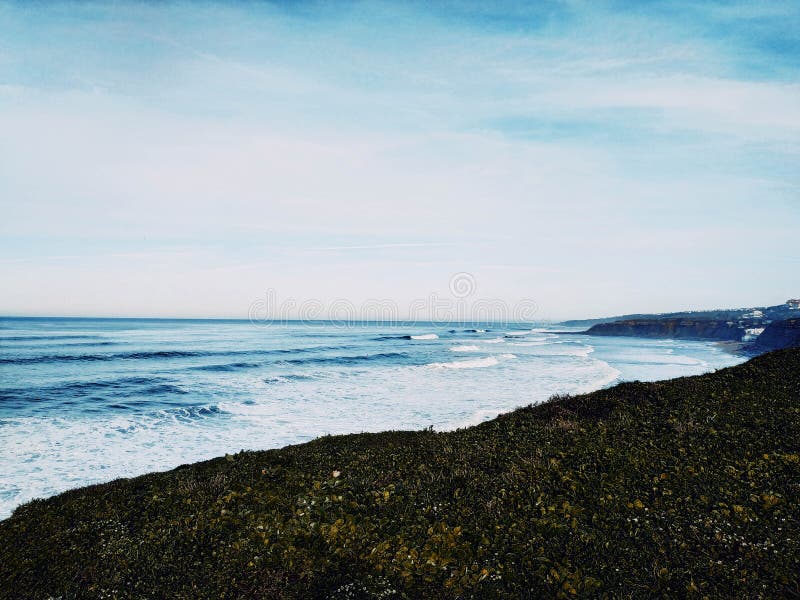 Big Waves Ocean View from Cliff Stock Photo - Image of flower, activity ...