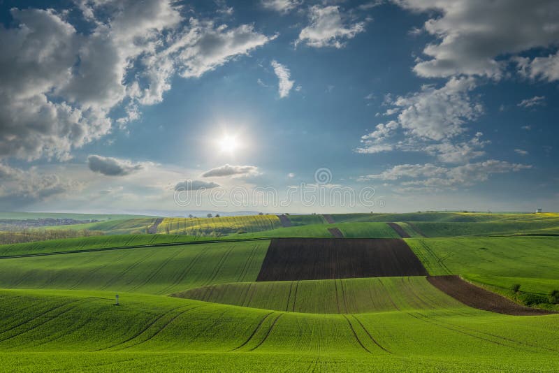 Big fields on hill stock photo. Image of landscape, plant - 141574766