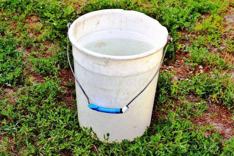 Bucket of water stock photo. Image of water, drinking - 131071828