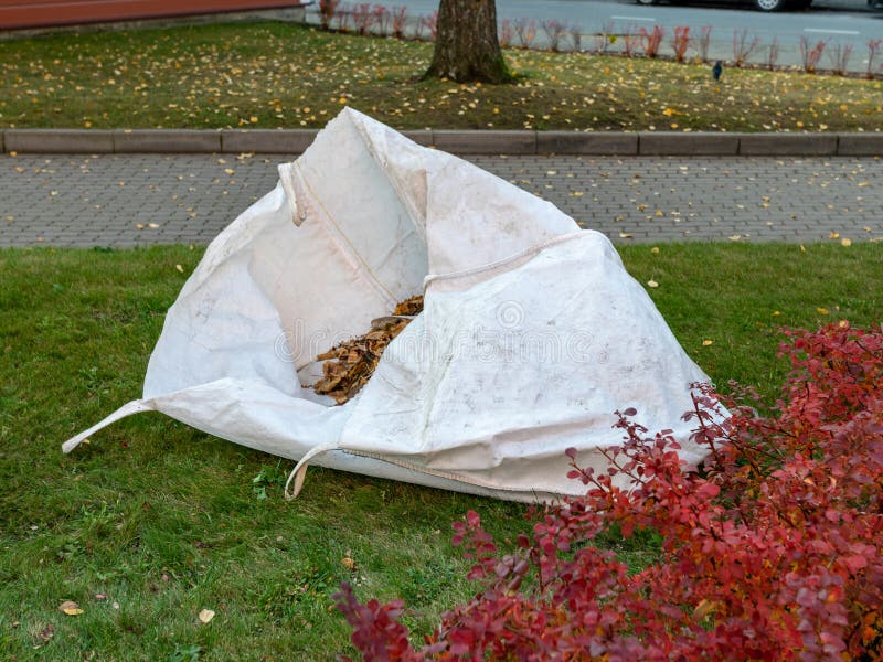 Big White Garbage Bags for Tree Leaves Stock Photo - Image of wall ...