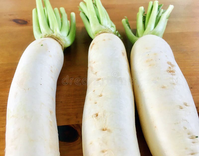 Big white radishes stock photo. Image of cooking, food - 187210558