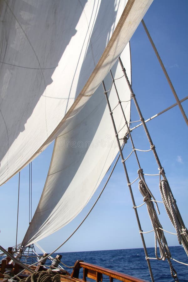 Big white sail stock photo. Image of sailboat, nautical - 57607482
