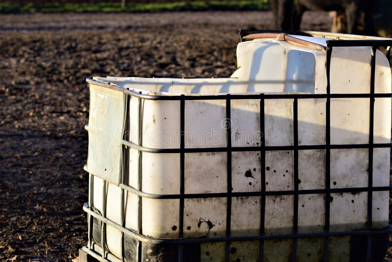 Big White Water Container for Animals on a Paddock Stock Image - Image ...