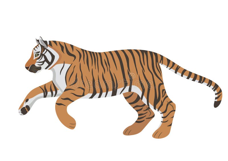 Big Wild Jumping Tiger on the Hunt Stock Illustration - Illustration of ...