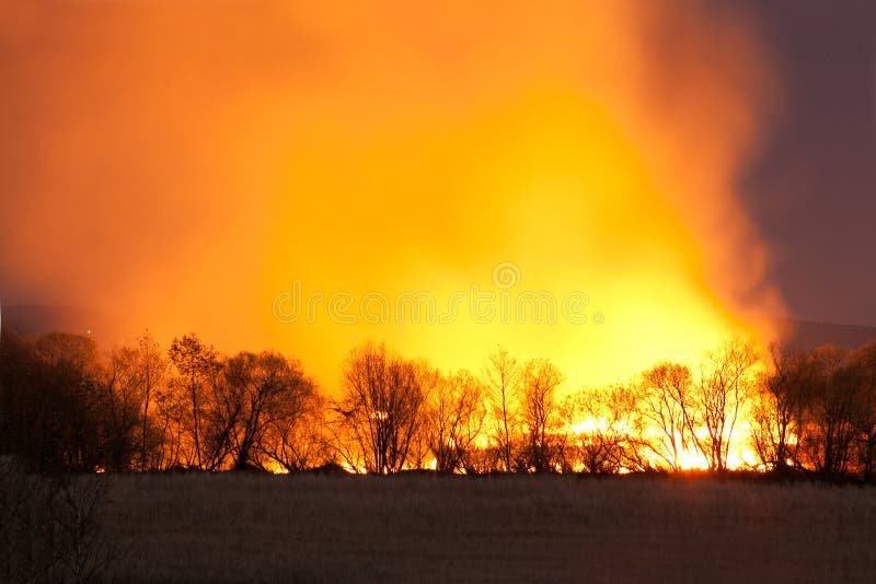 Night wildfire stock photo. Image of outdoors, burnt - 30052082