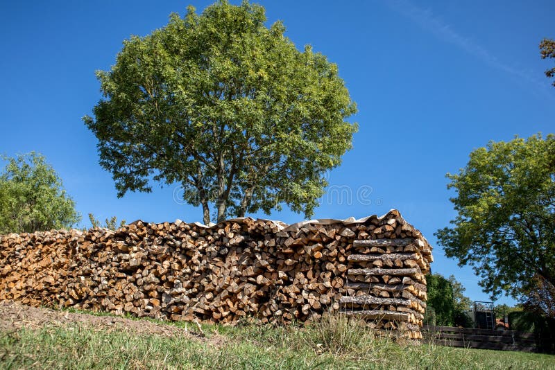 Big Wood Pile in Front of a Tree and Blue Sky Stock Photo - Image of ...