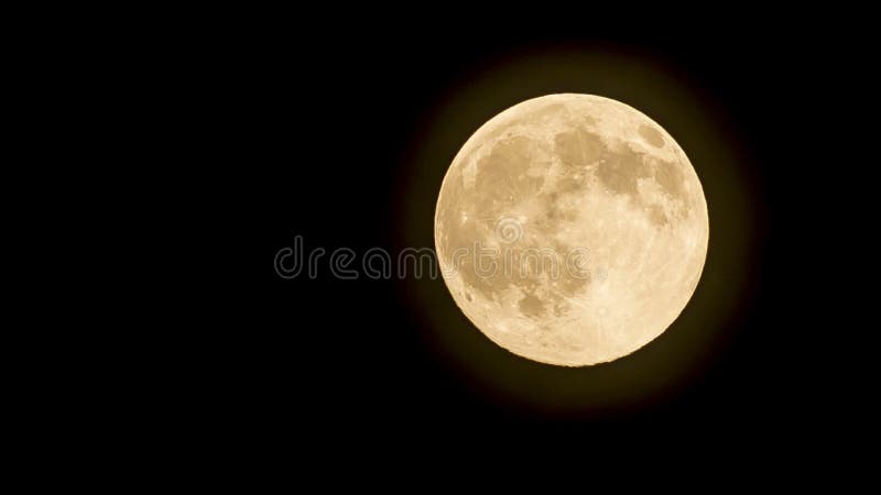 Big Yellow Full Moon Rising Up in the Sky Stock Video - Video of night ...
