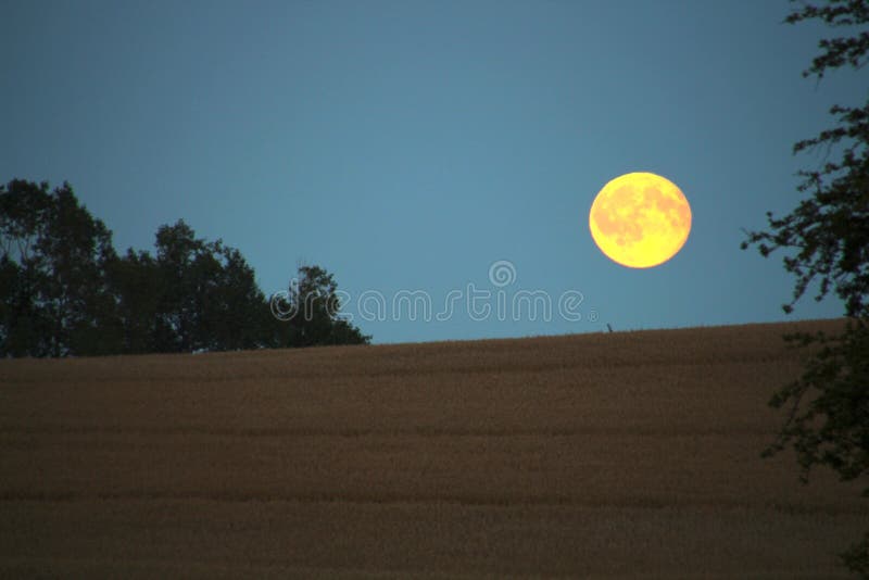 Big yellow moon stock image. Image of detail, lunar - 108968455