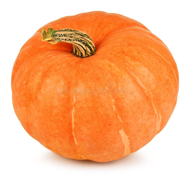 Big yellow pumpkin stock image. Image of fruit, orange - 27493749
