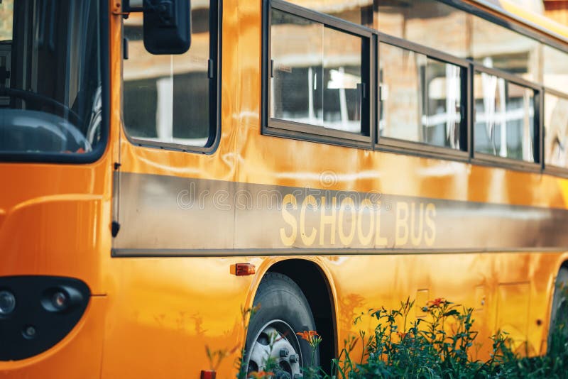 357 Big Yellow School Bus Stock Photos - Free & Royalty-Free Stock ...