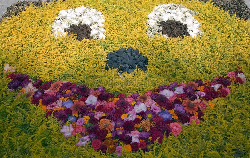 Big yellow smile face stock photo. Image of flower, spring - 20736118