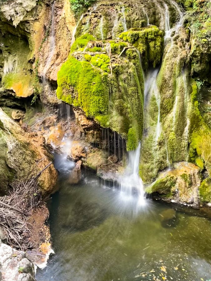 1,553 Bigar Photos - Free & Royalty-Free Stock Photos from Dreamstime