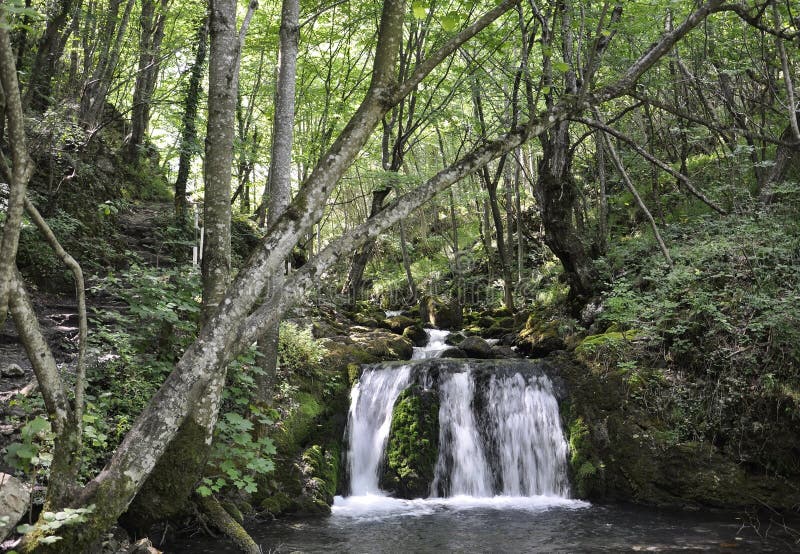 Bigar Waterfall at 45 Parallel from Caras-Severin in Romania Stock ...