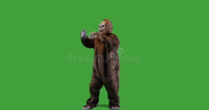 Bigfoot Sighting Walk Loop Green Screen 3D Rendering Animation Stock ...