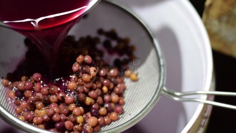 Bignay Traditional Crude Primitive Method of Home Wine Processing Juice ...