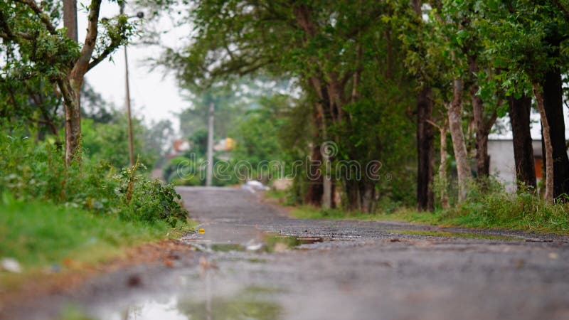 Bihar Street Village Image Hd Stock Photo - Image of rural, landscape ...