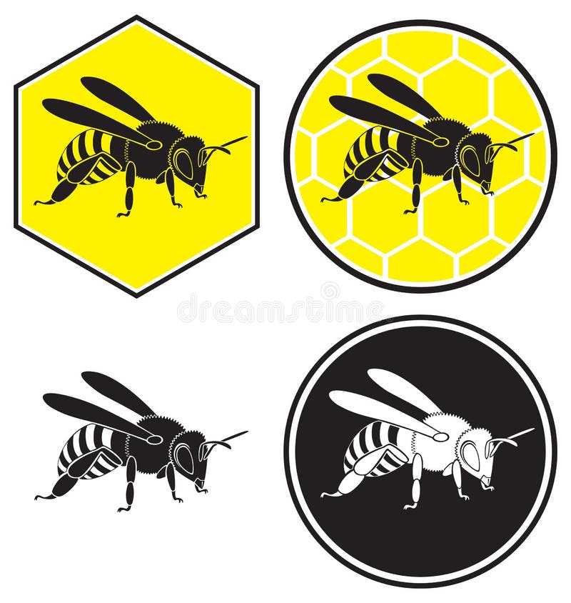 Bij vector illustratie. Illustration of bloem, zeshoek - 22140529