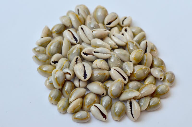 Kuwuk Stock Photos - Free & Royalty-Free Stock Photos from Dreamstime