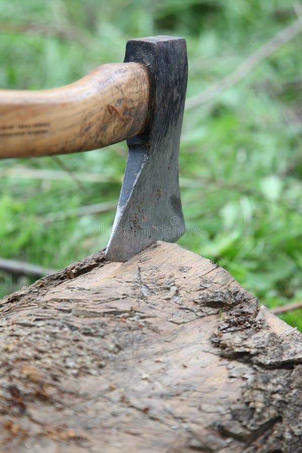 Bijl, bijl stock afbeelding. Image of houten, blad, bijl - 15667071