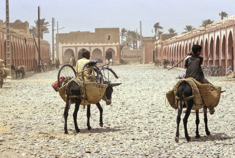 Donkey Boys Morocco Stock Photos - Free & Royalty-Free Stock Photos ...