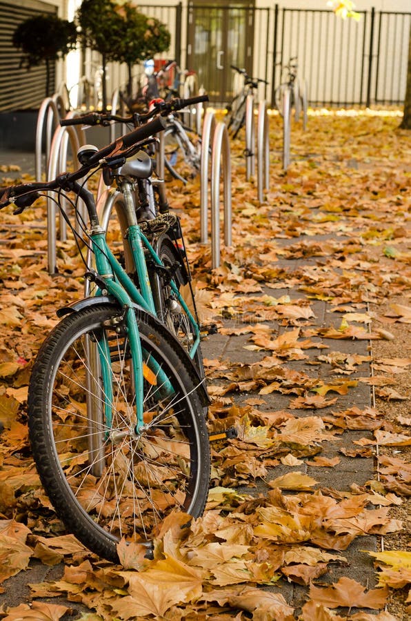 Bike with fall leaves stock image. Image of leaves, colors - 27856671