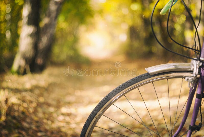 Bike and Fall stock image. Image of wheel, great, trees - 45662033