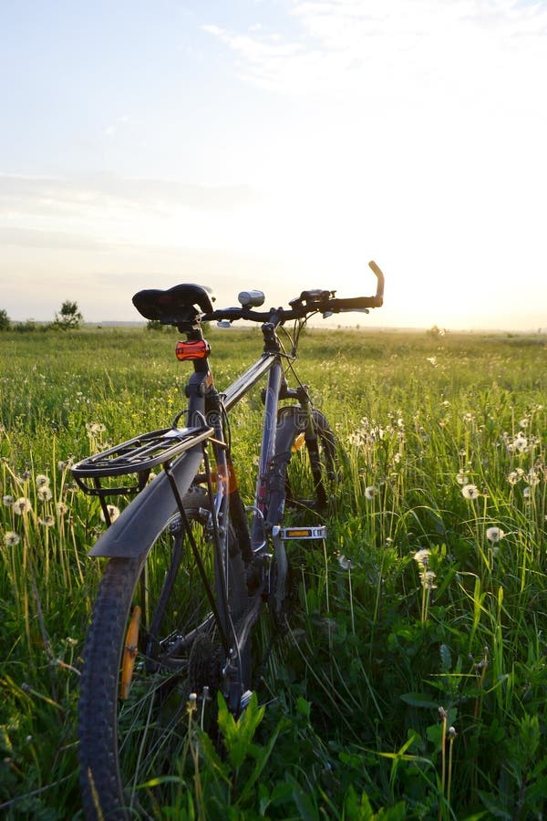 Bike on the field stock photo. Image of colorful, spring - 32514404