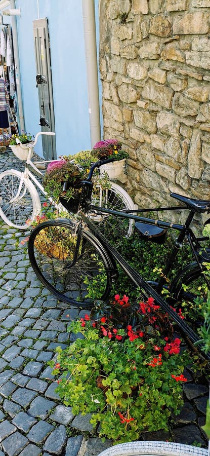 Bike Flower Spring Beauty Wallpaper Stock Photo - Image of spring, bike ...