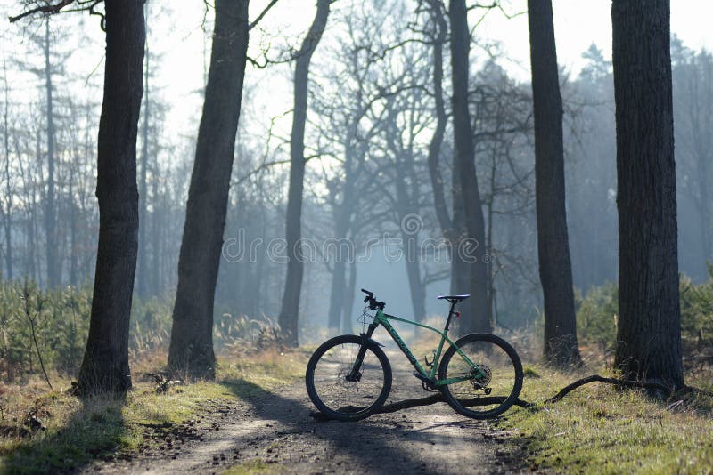 Bike in the woods stock image. Image of trail, path - 235850915