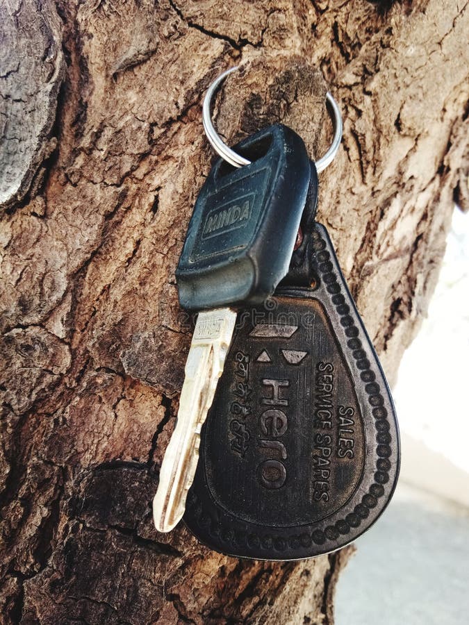 Bike Key Hanging at Tree Hero Editorial Photography - Image of hanging ...