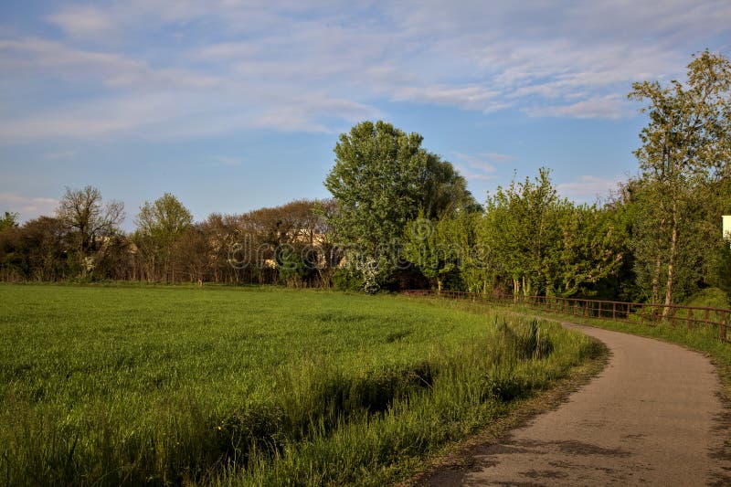 Bike Path Bordered by a Field in Spring at Sunset Stock Image - Image ...