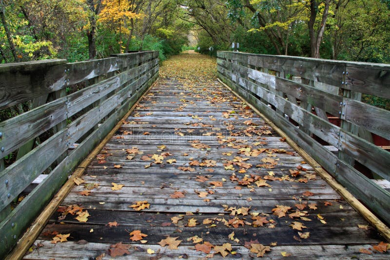 Bike Path Bridge stock photo. Image of calming, calm - 16058070