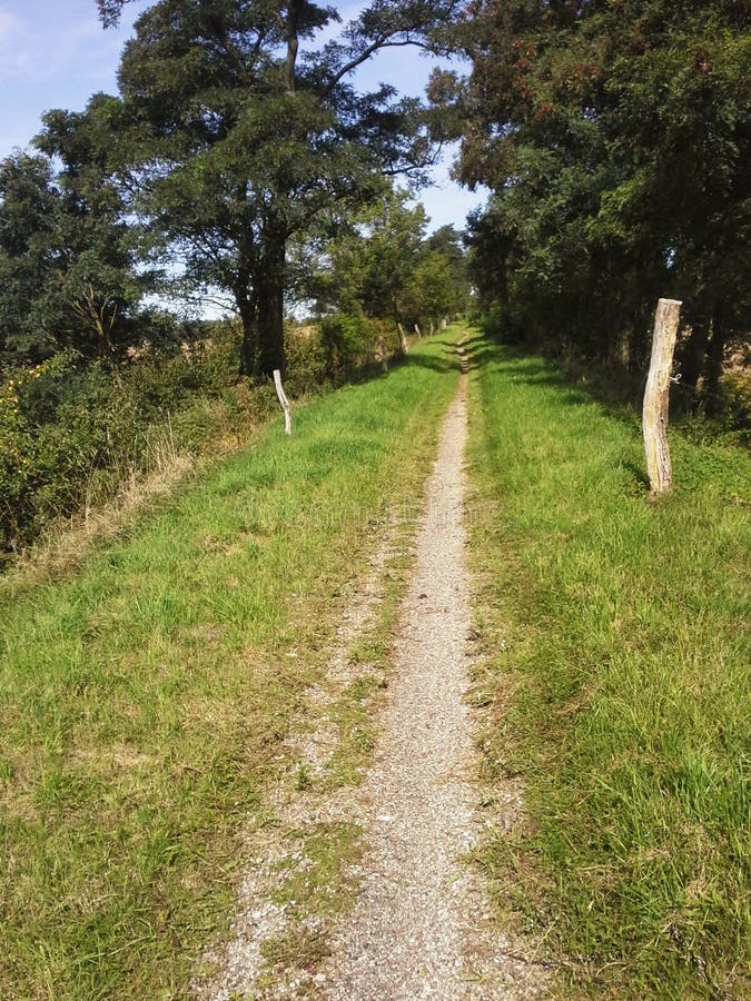 Bike Path stock photo. Image of background, bike, path - 43972714
