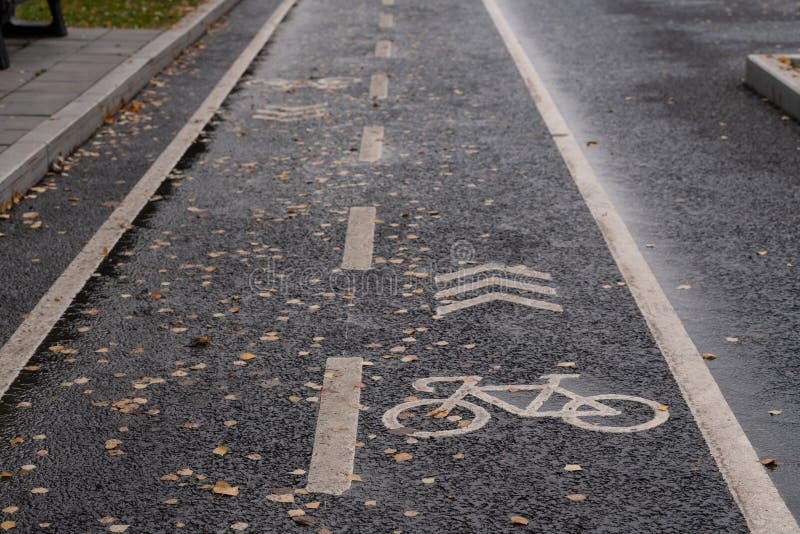 Bike Path, Dark Road and Yellow Lines Stock Image - Image of bike ...