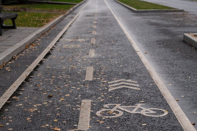Bike Path, Dark Road and Yellow Lines Stock Image - Image of ecological ...