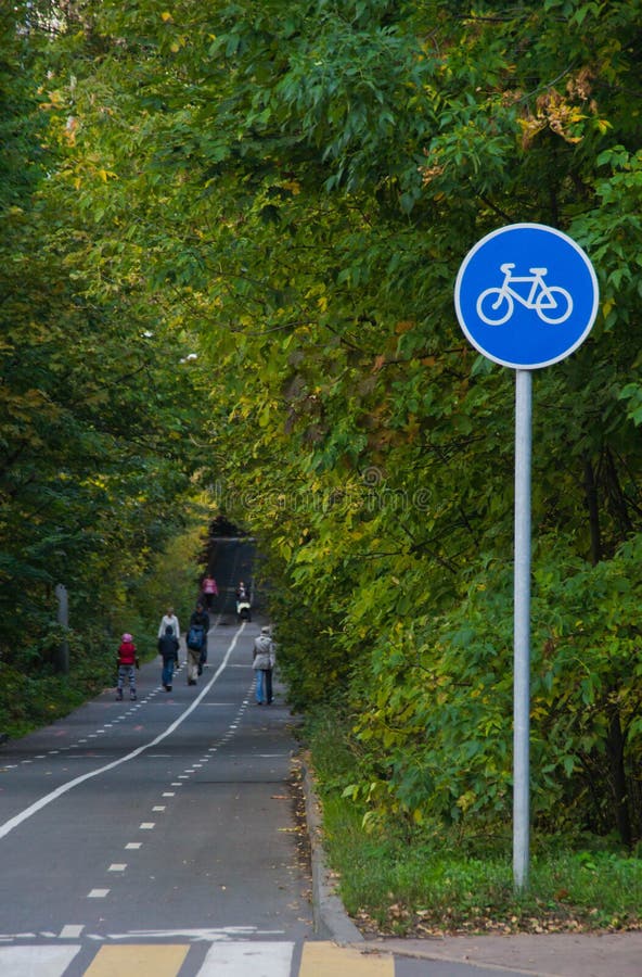 Bike Path through the Green Forest Stock Photo - Image of pole, weather ...