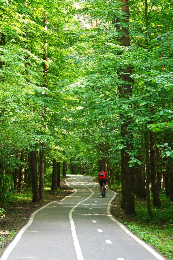 Bike path in the park stock image. Image of beautiful - 36402527
