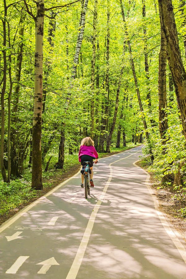 Bike path in the park stock image. Image of beautiful - 36402527