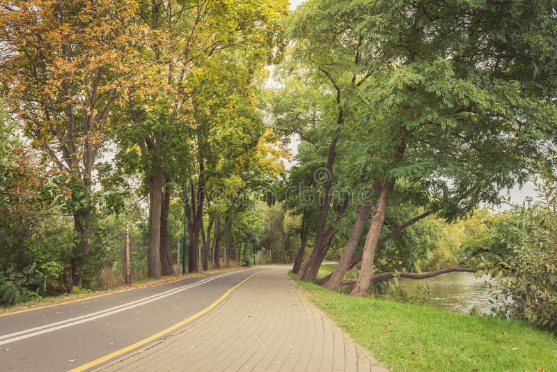 Bike path in the park. stock photo. Image of landscape - 208754968