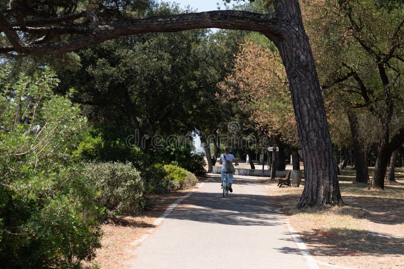 Bike Path in Park La Rochelle Town France Editorial Photography - Image ...