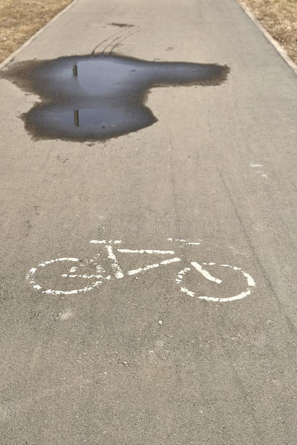 A Bike Path in the Park with a Marking in the Form of a Bicycle Image ...
