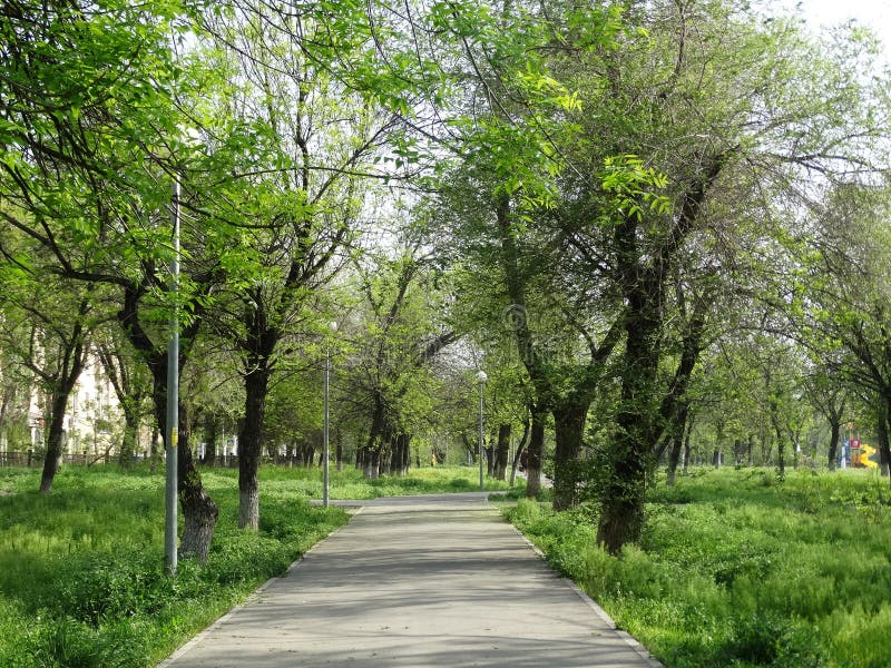 Bike path in the Park stock image. Image of garden, countryside - 108618441